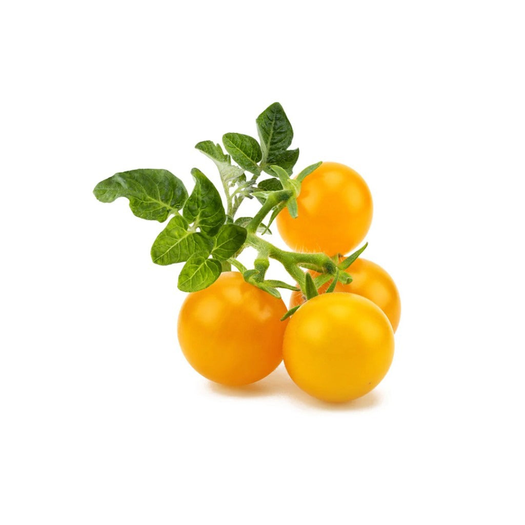 Click & Grow Smart Garden Refill Mini Tomatoes Yellow | Shelter ...